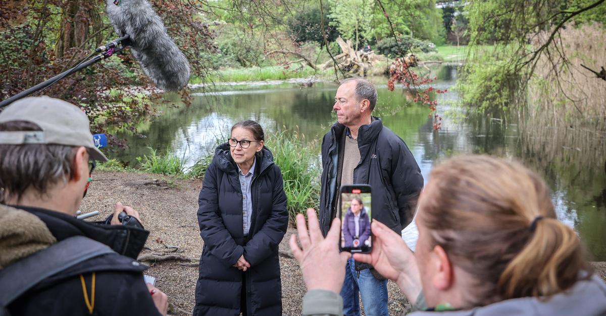 Start der Filmfestspiele Venedig: Drei Hessen am Start